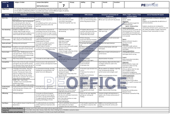 KS3 Cricket Lesson Plan – PE Office